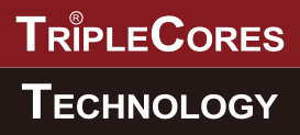 Organization - Triple Cores Technology